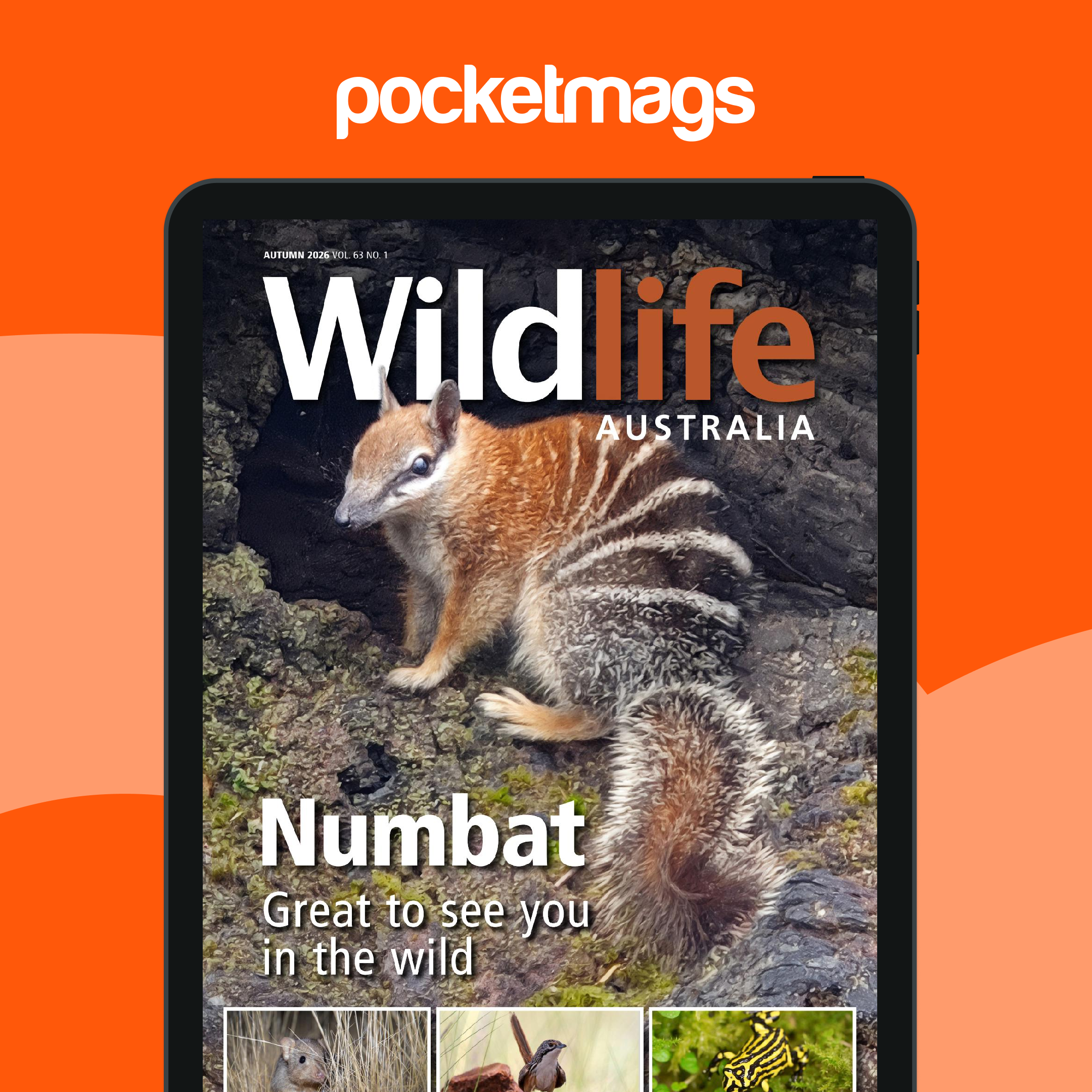 Wildlife Australia Magazine Subscriptions and Autumn 2026 Volume 63 ...