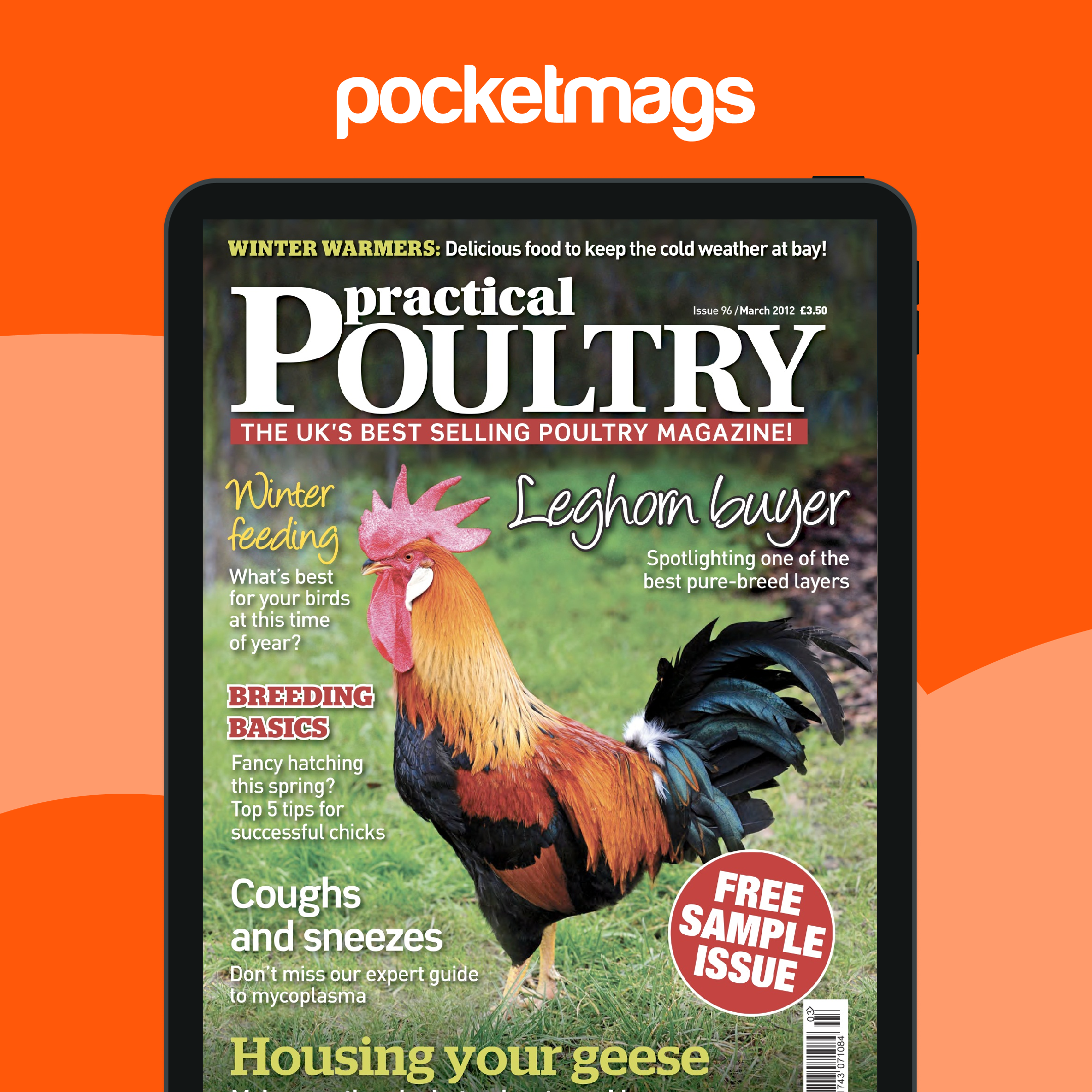 Practical Poultry Magazine - Practical Poultry Sample Issue Back Issue