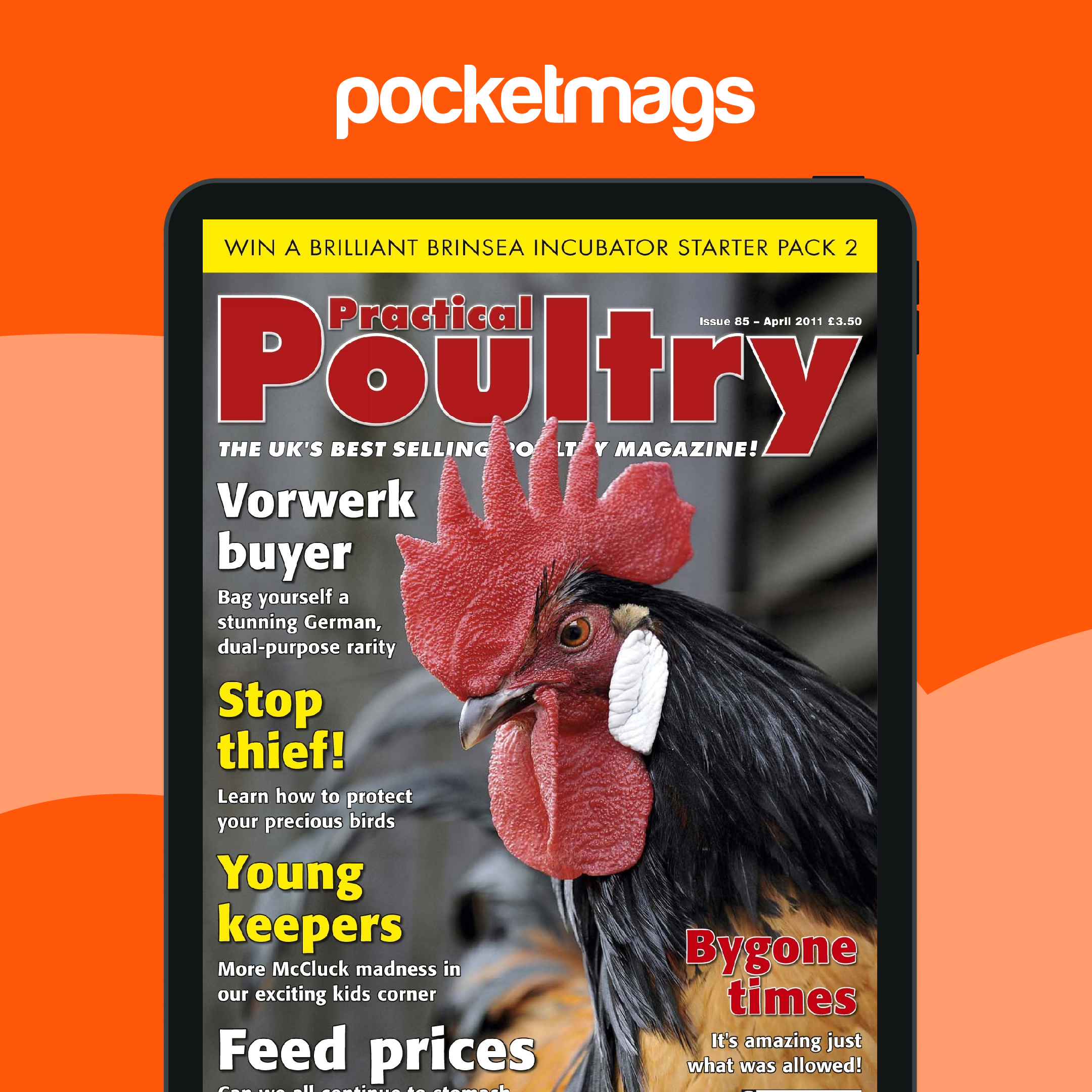 Practical Poultry Magazine - 85 Back Issue