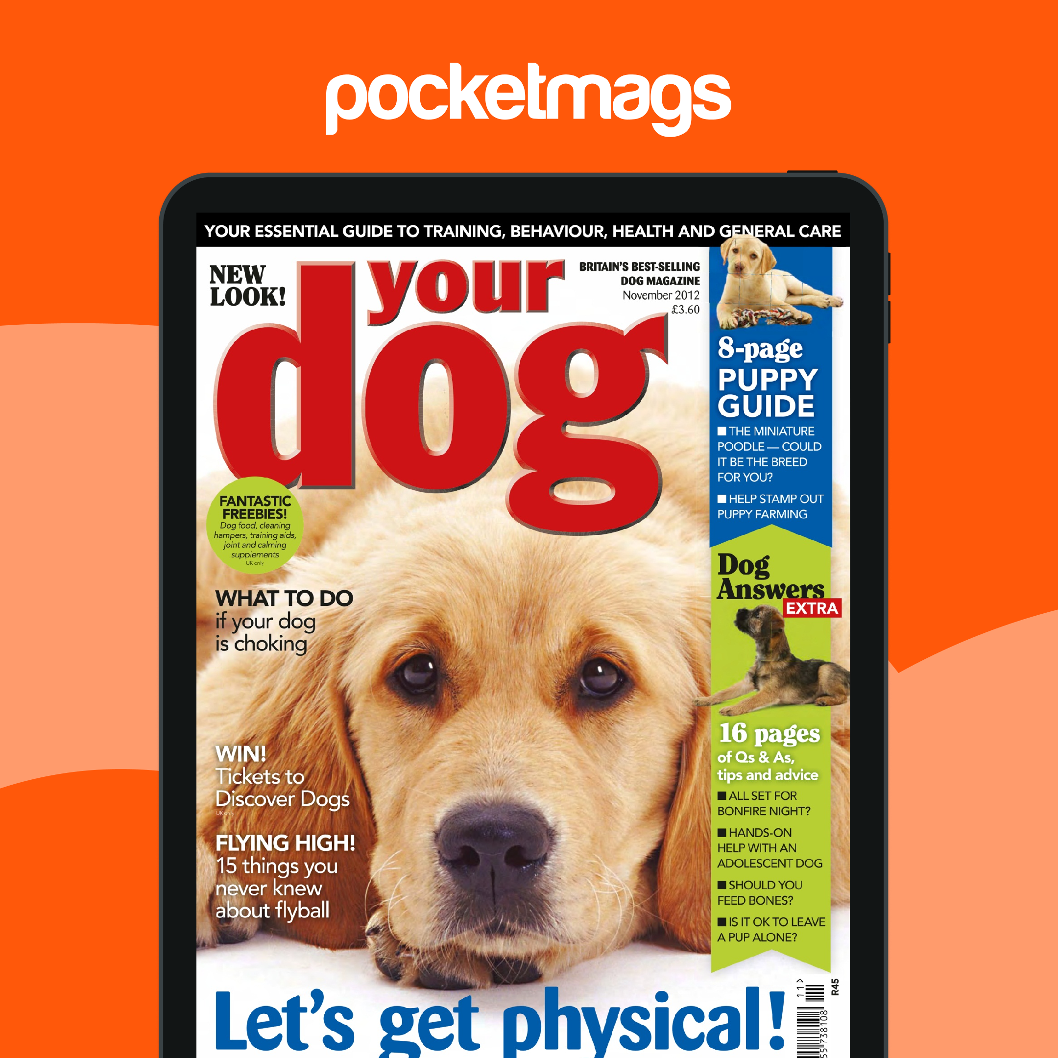 Your Dog Magazine - Your Dog Magazine November 2012 Back Issue