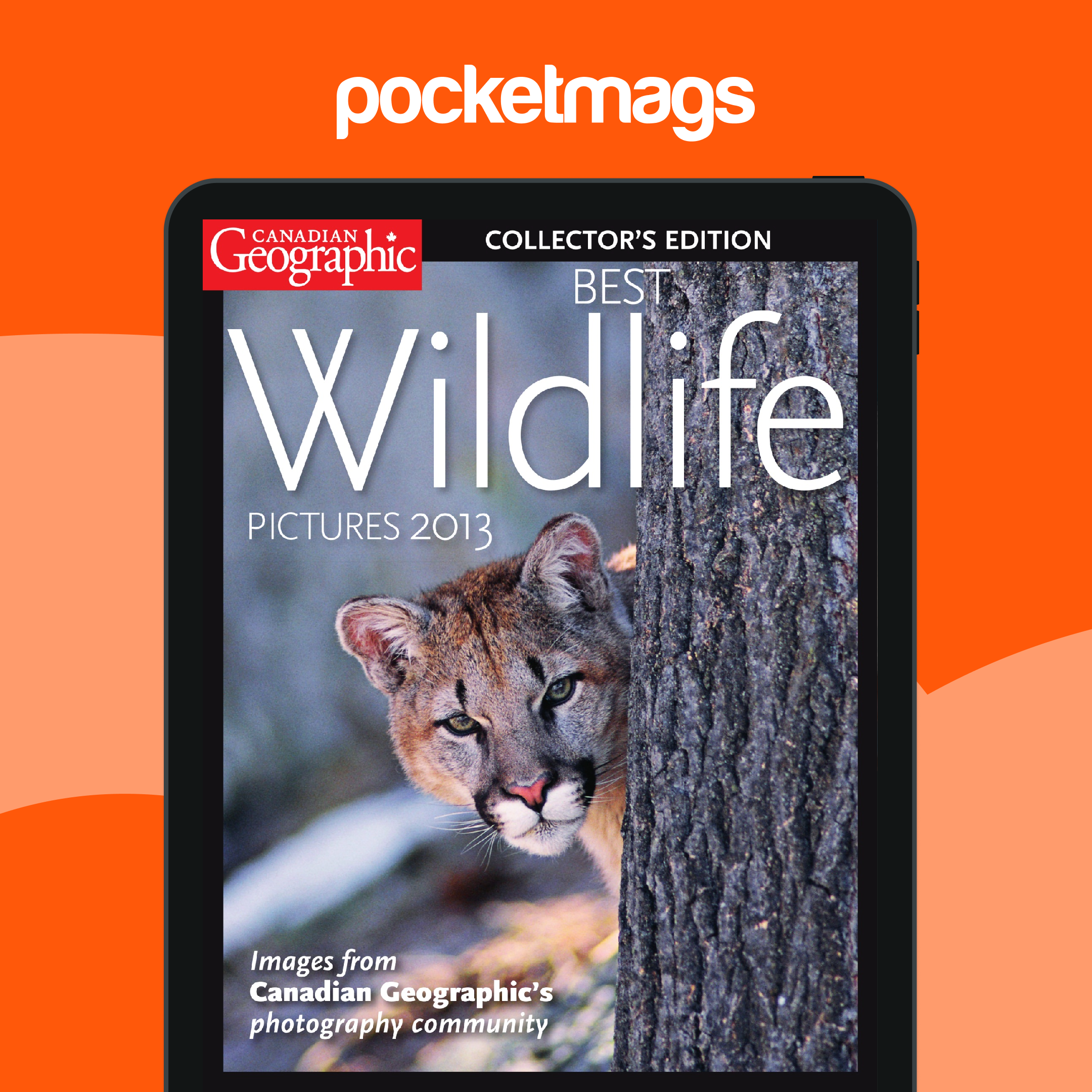 Canadian Geographic Magazine - Best Wildlife Pictures 2013 Edición especial