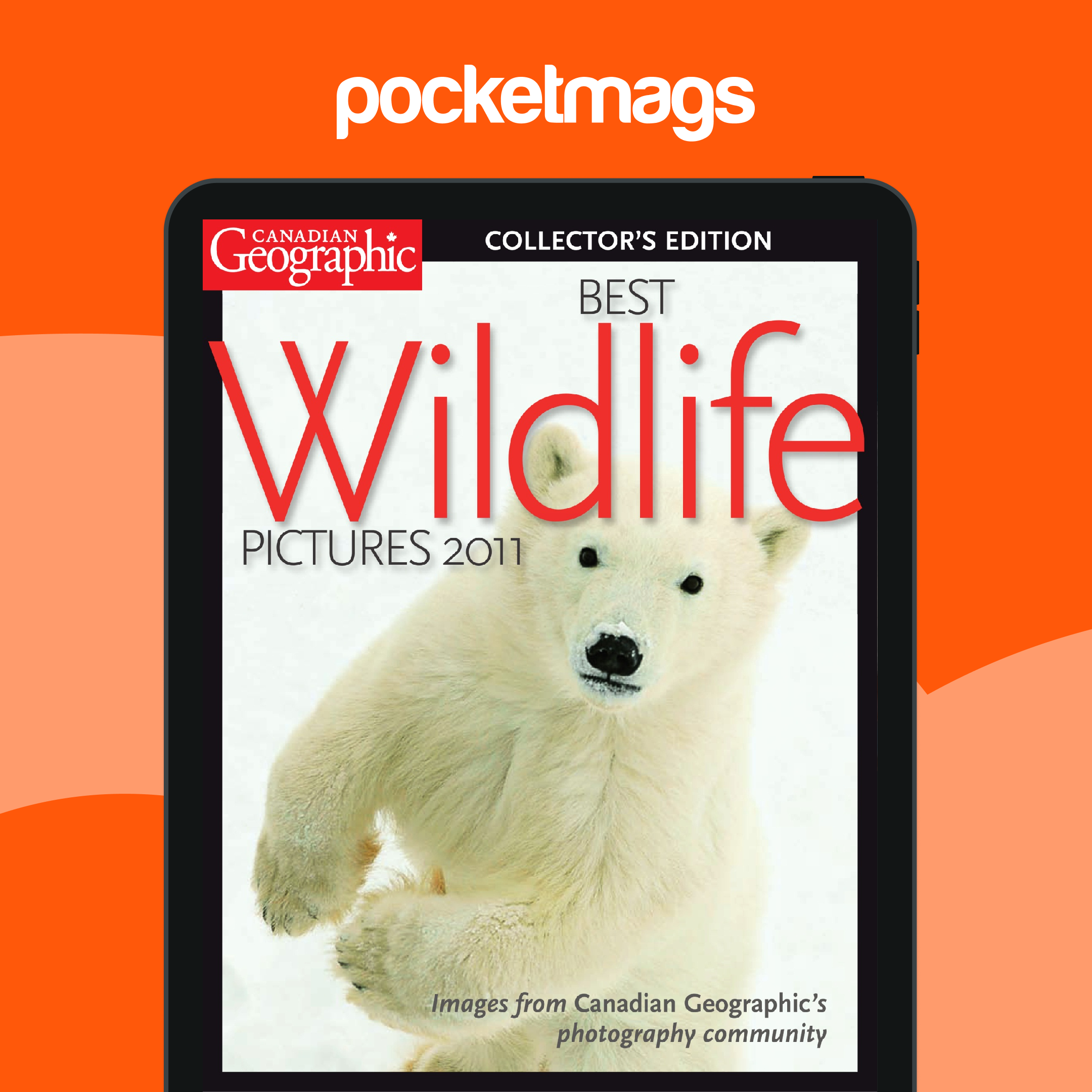 Canadian Geographic Magazine - Best Wildlife Pictures 2011 Edición especial