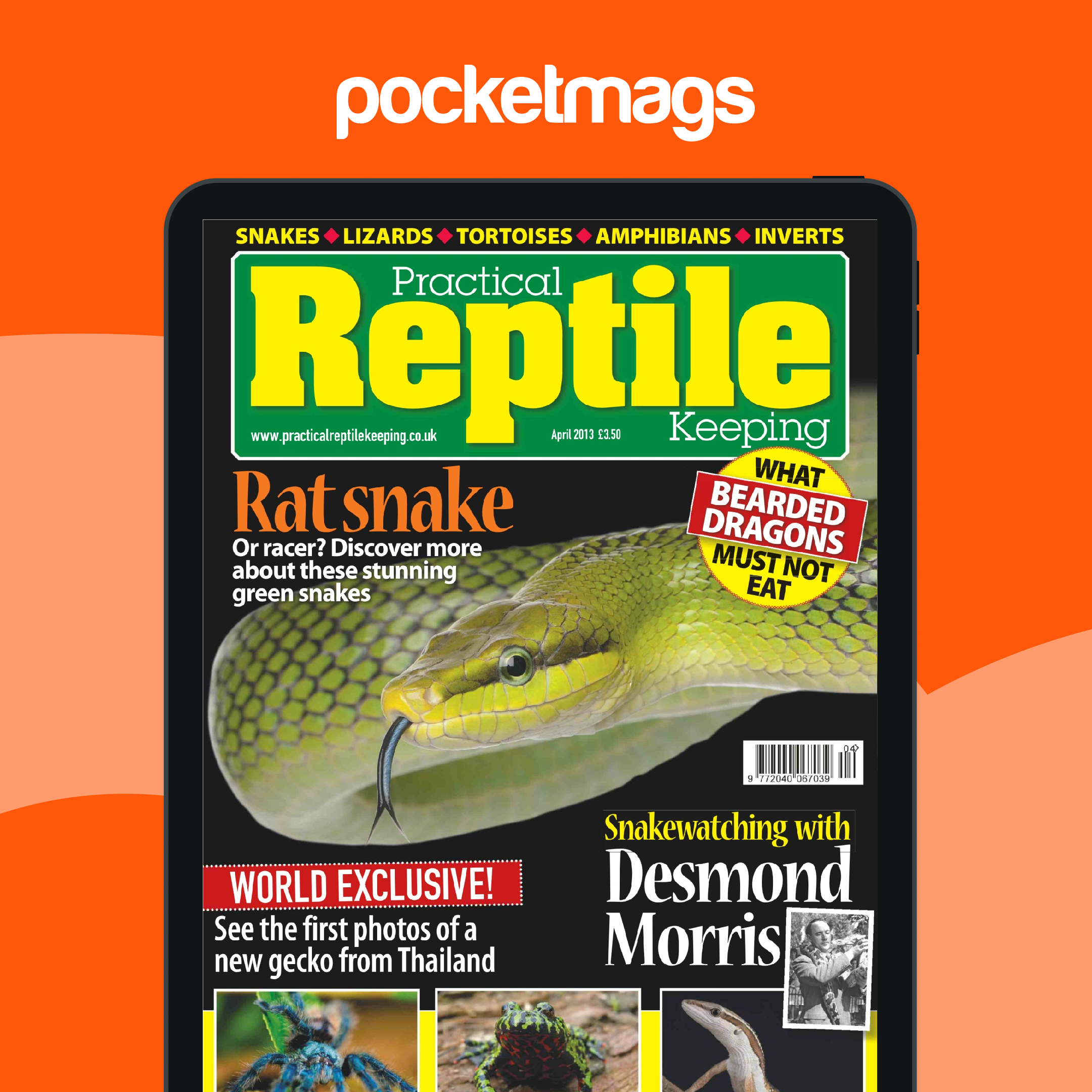 Practical Reptile Keeping Magazine - No.47 Rat Snake Edición anterior