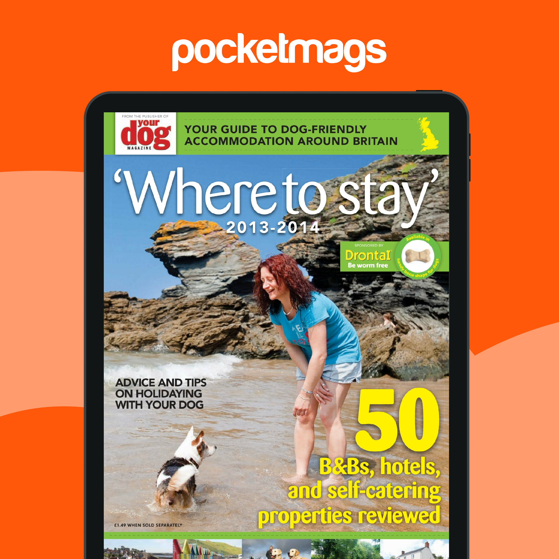 Your Dog Magazine - Where To Stay Guide Edición especial
