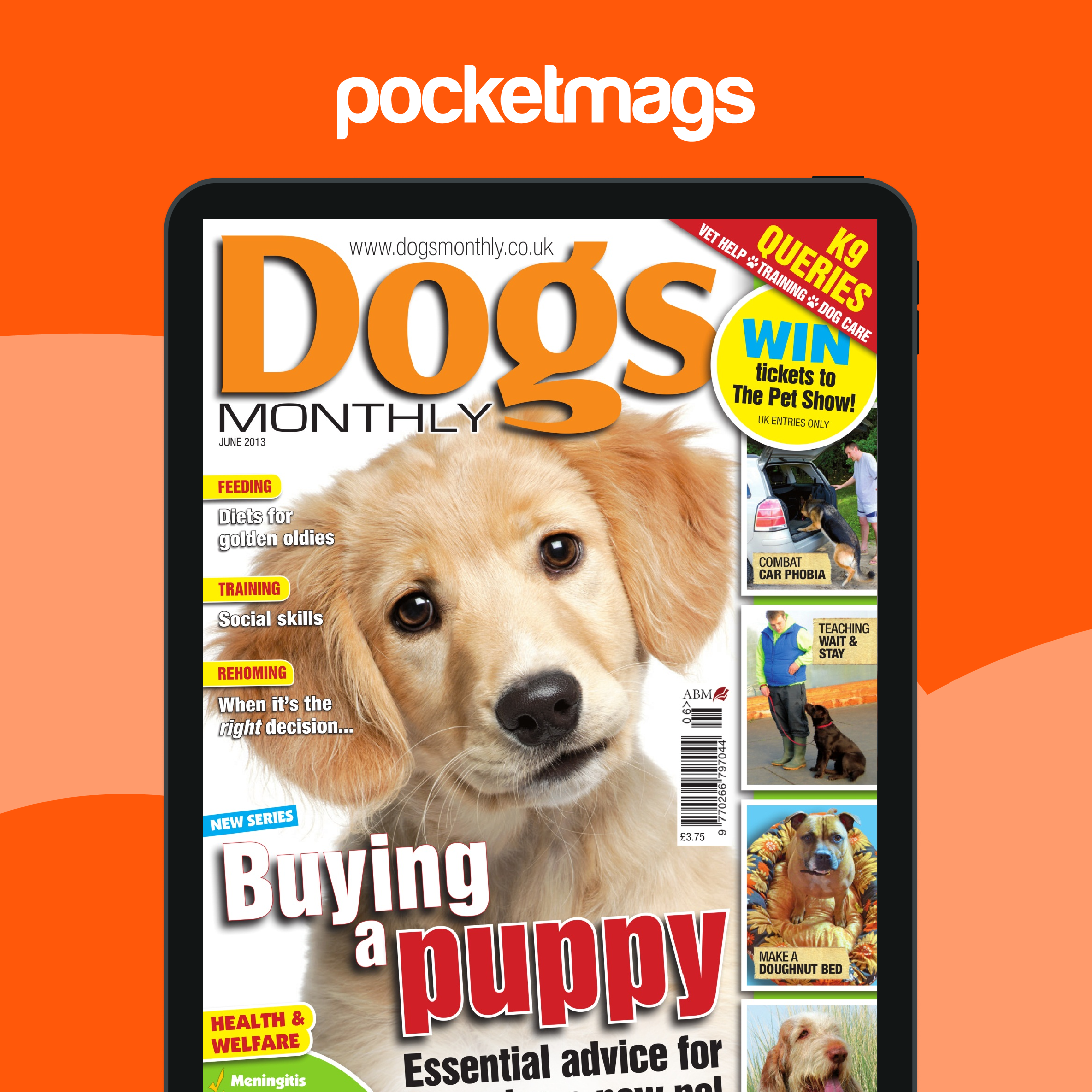 Dogs monthly store
