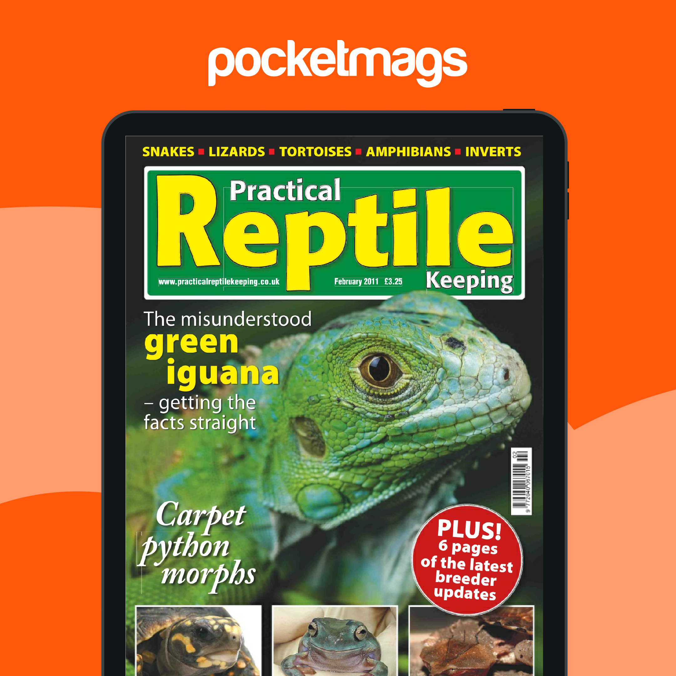 Practical Reptile Keeping Magazine - No.21 Iguana's & Python Morphs ...