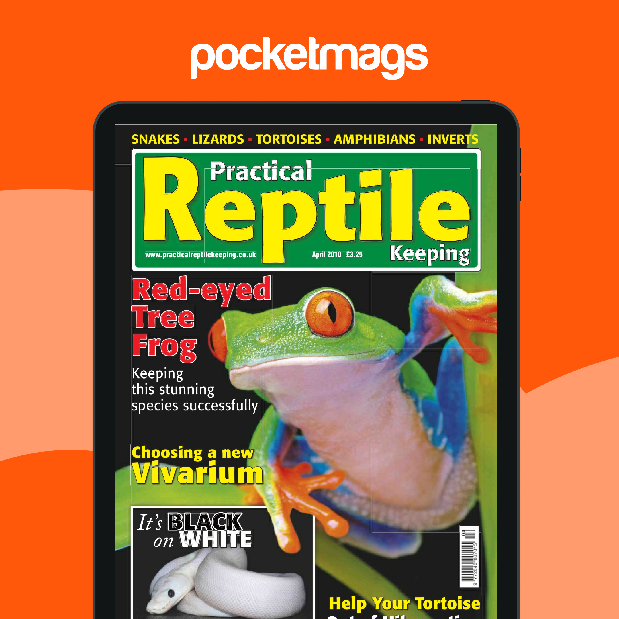 Practical Reptile Keeping Magazine - No.11 Red-Eyed Tree Frogs Edición ...