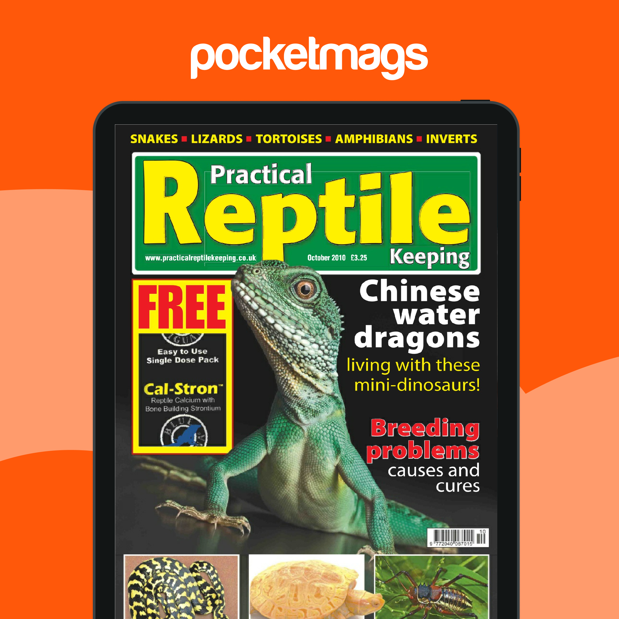 Practical Reptile Keeping Magazine - No.17 Chinese Water Dragons ...