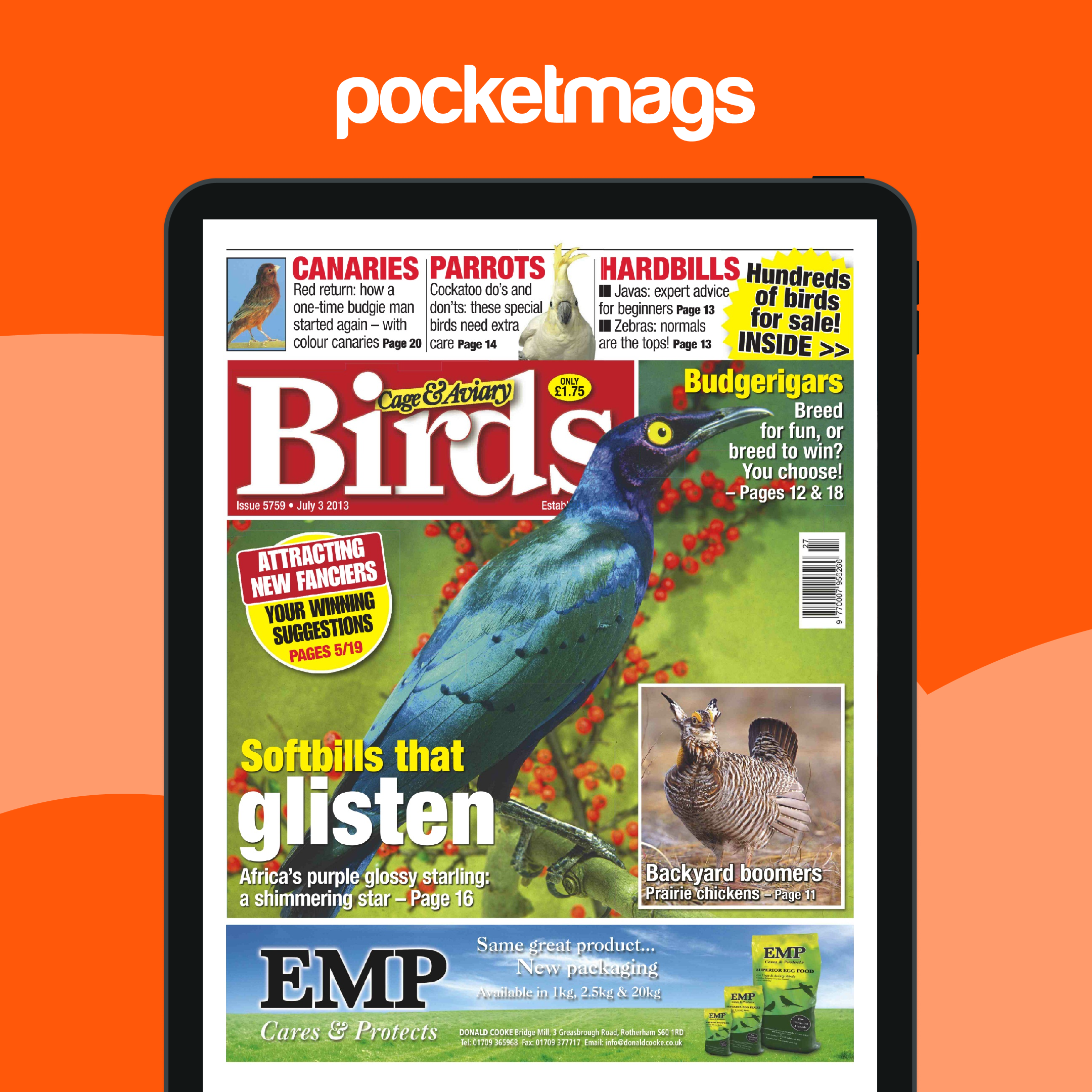 Cage & Aviary Birds Magazine - Cage & Aviary Issue 5759 Edición anterior