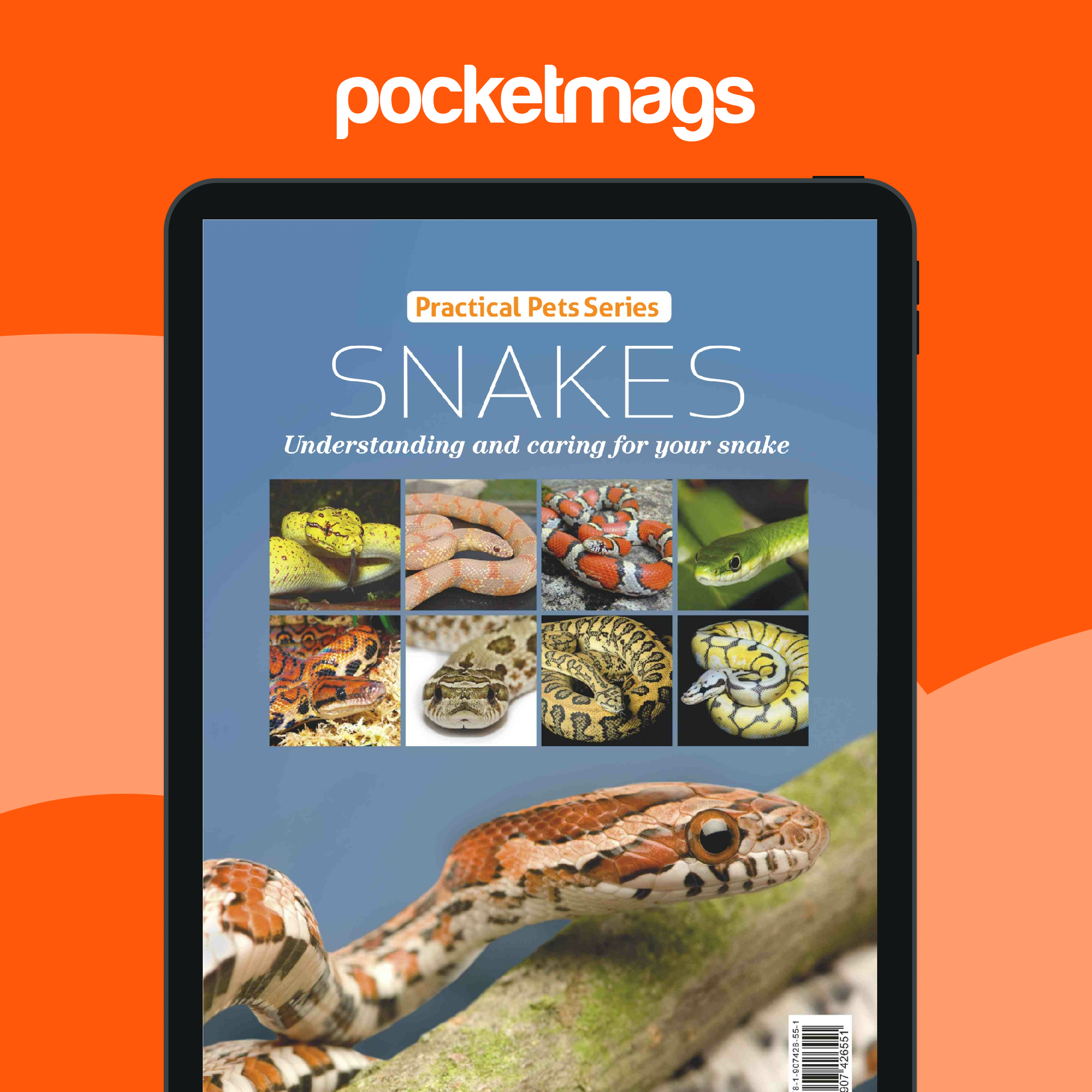 Practical Reptile Keeping Magazine - Practical Pets Series: Snakes ...