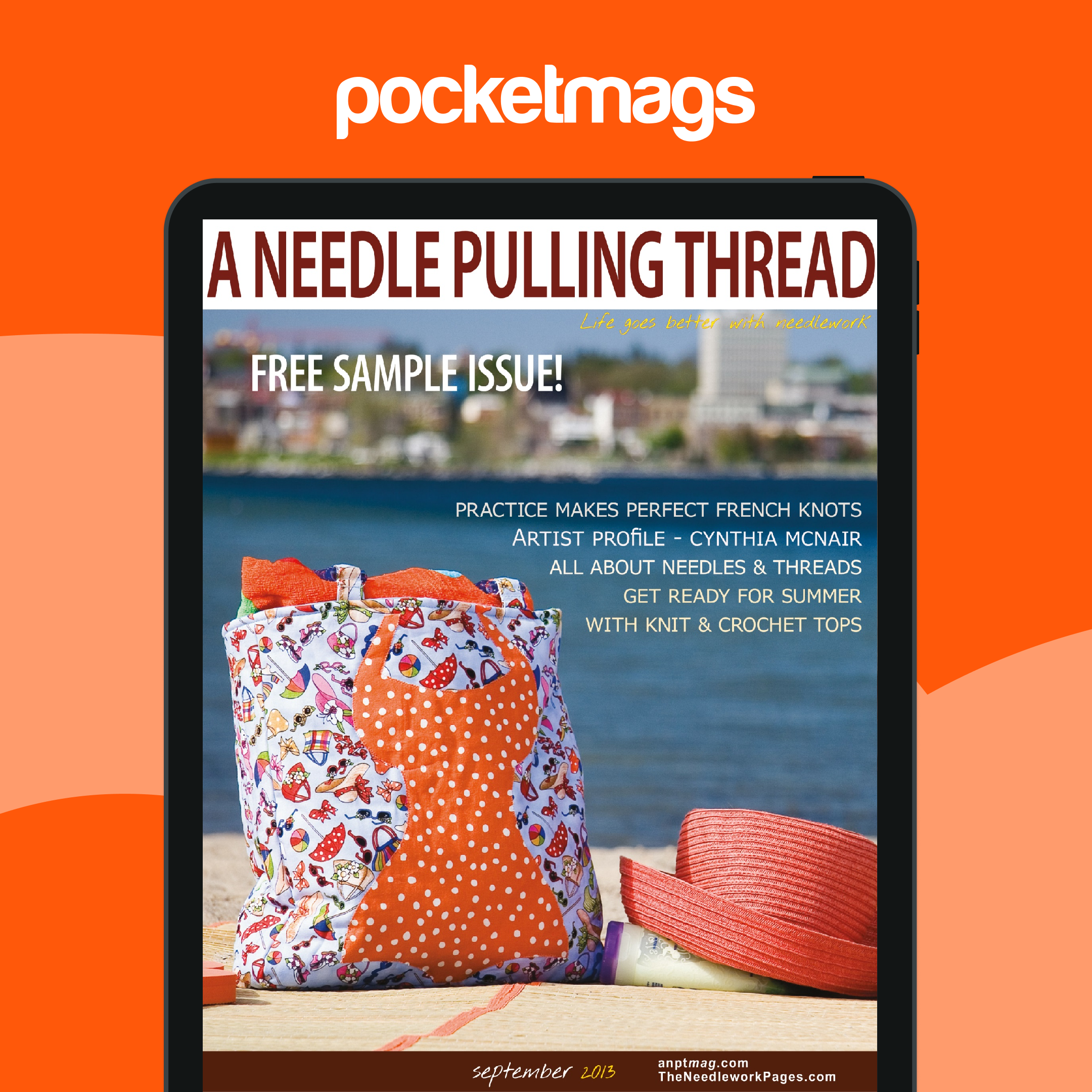 A Needle Pulling Thread Magazine - Free Preview Issue Back Issue