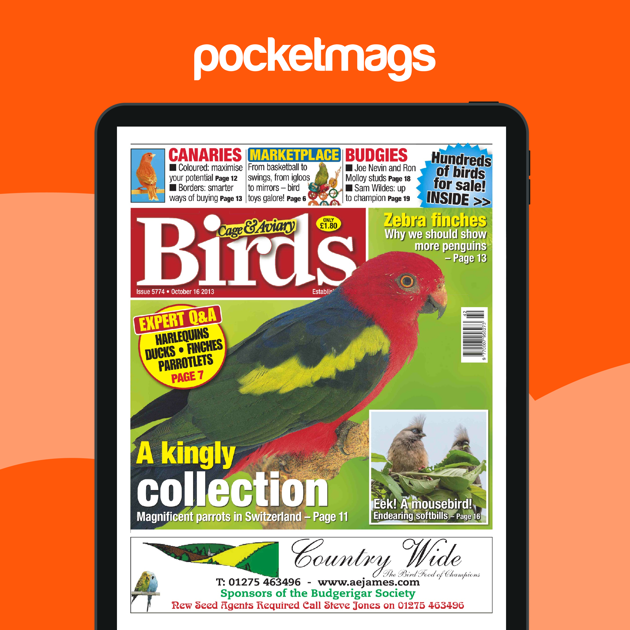 Cage & Aviary Birds Magazine - No.5774 A Kingly Collection Edición anterior