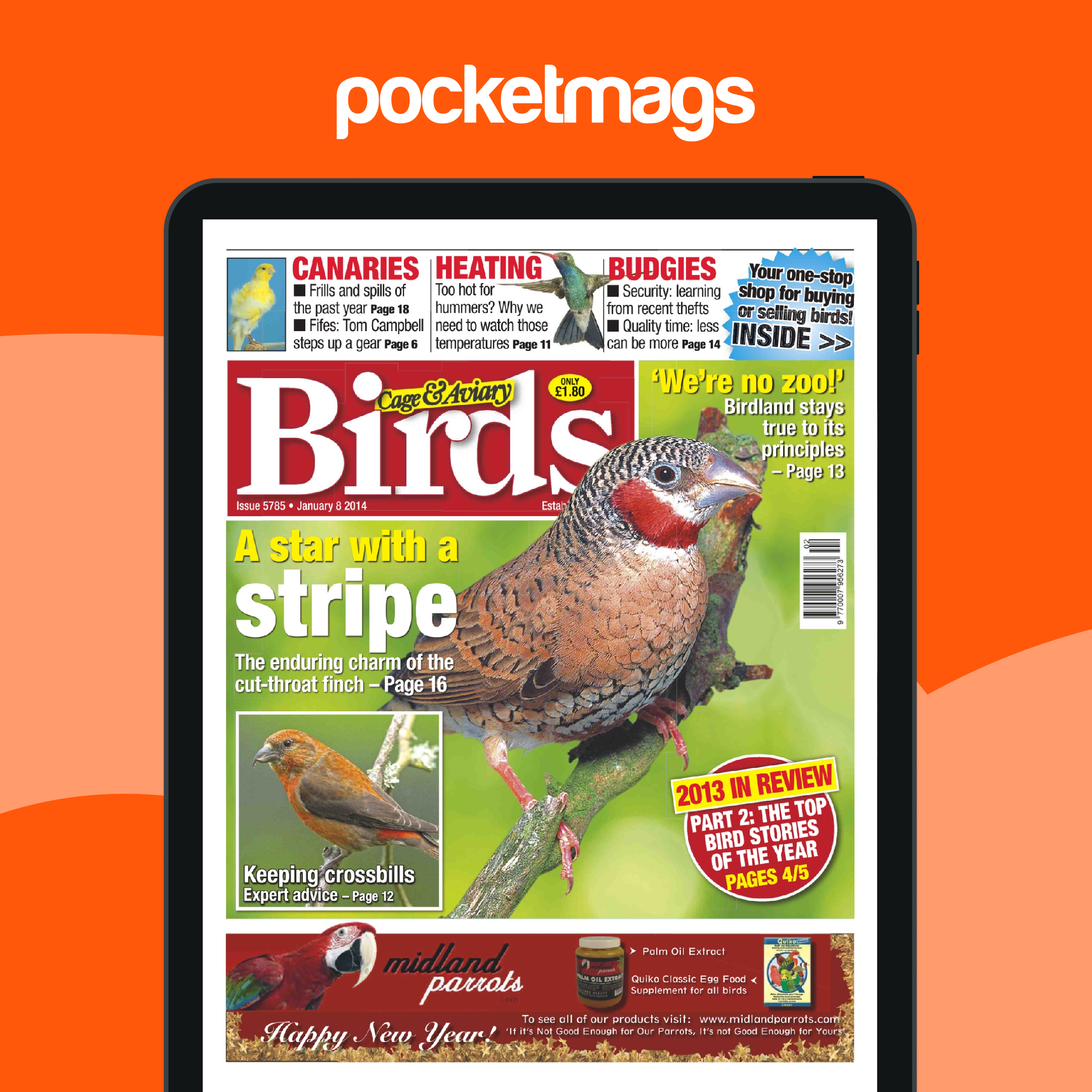Cage & Aviary Birds Magazine - No.5785 The Star with a Stripe Edición ...