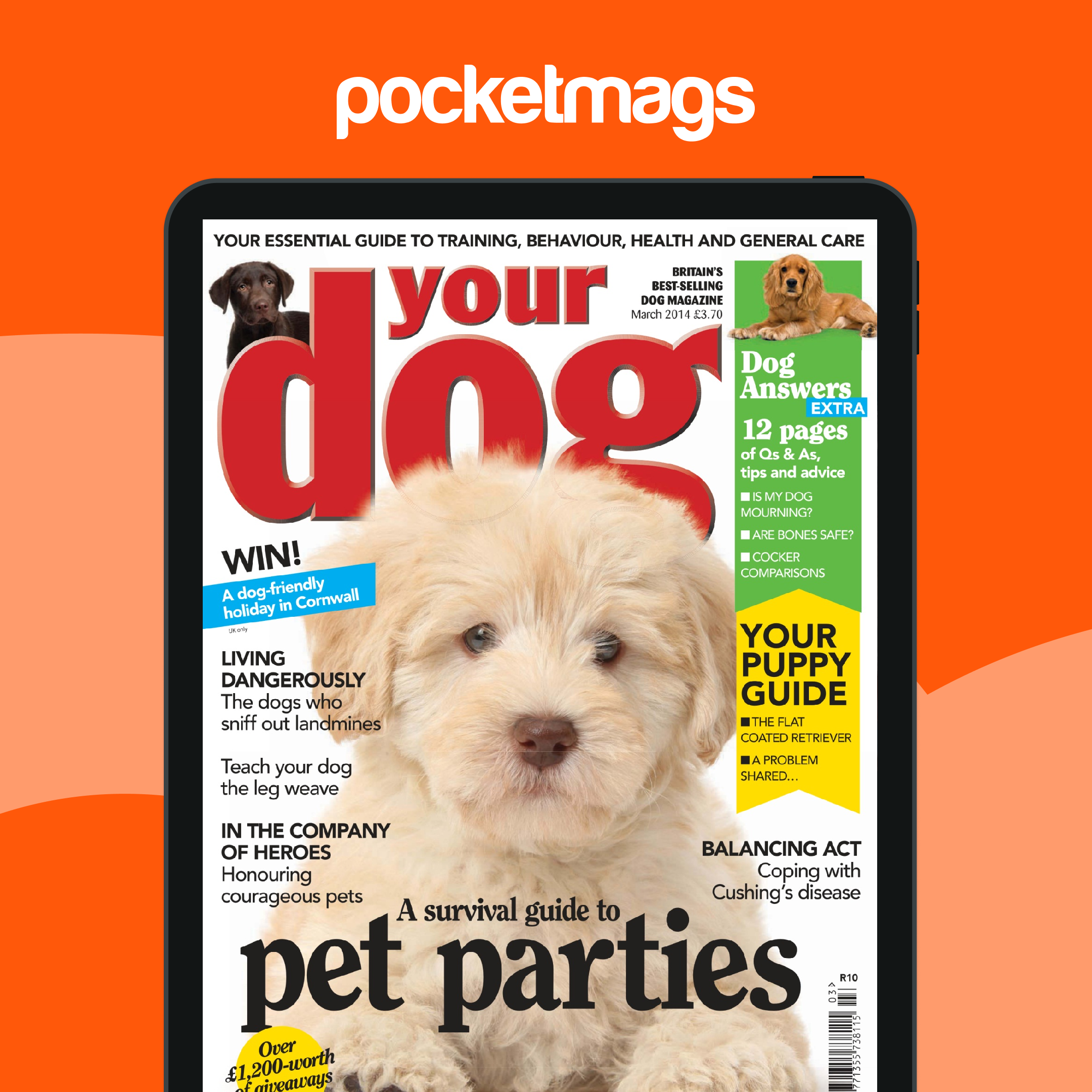 Your Dog Magazine - Your Dog Magazine March 2014 Back Issue