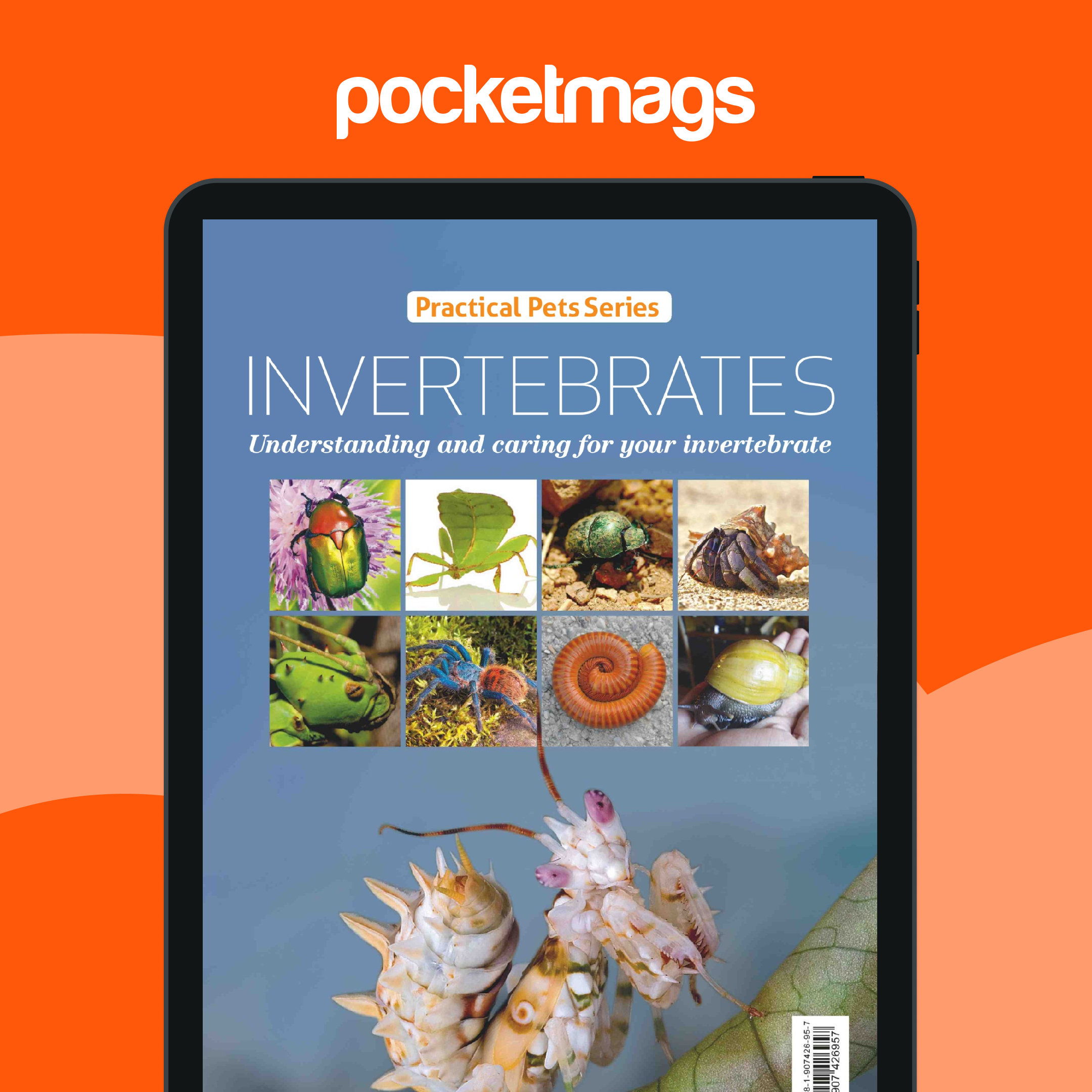 Practical Reptile Keeping Magazine - INVERTEBRATES Understanding and ...