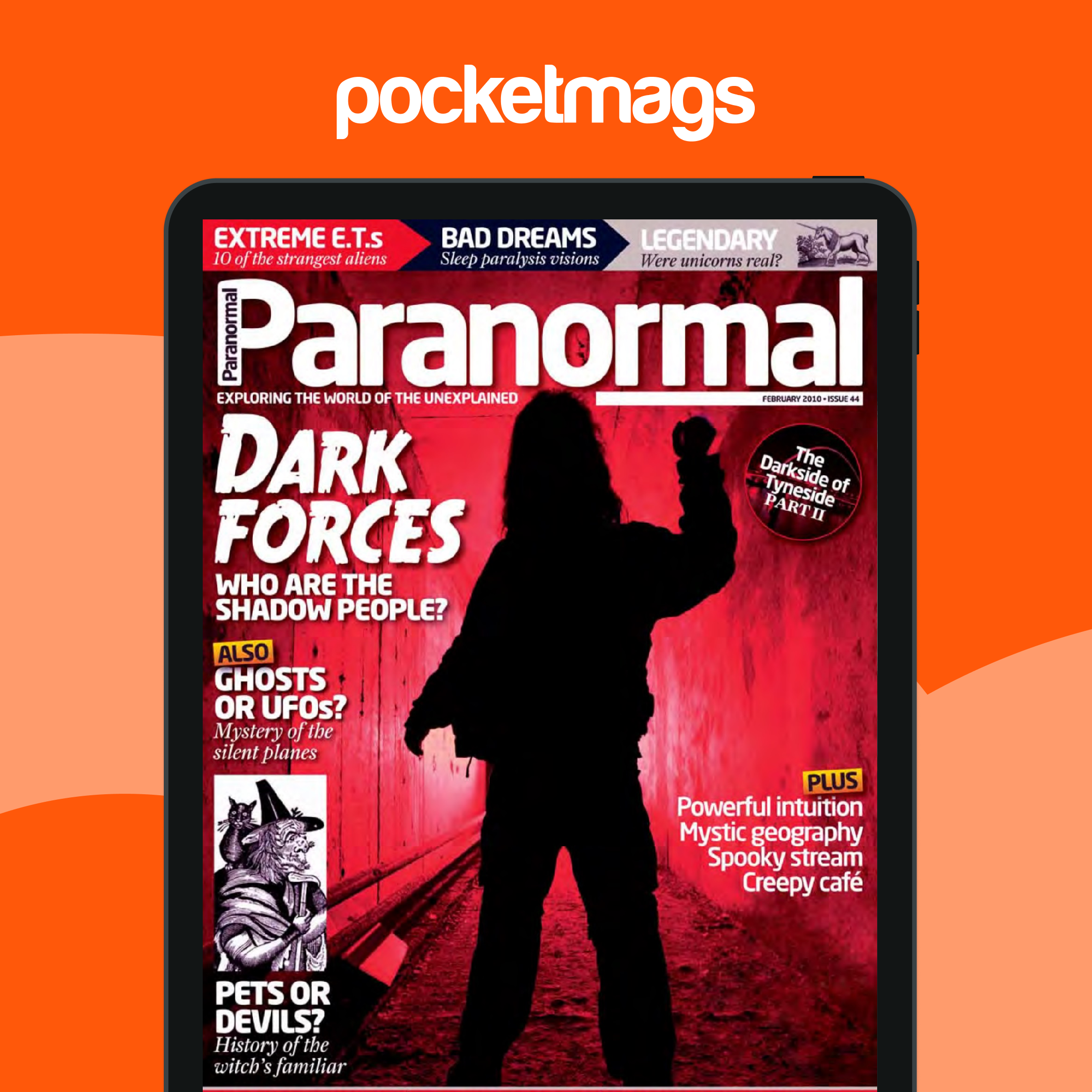 Paranormal Magazine - Issue 44 Edición anterior