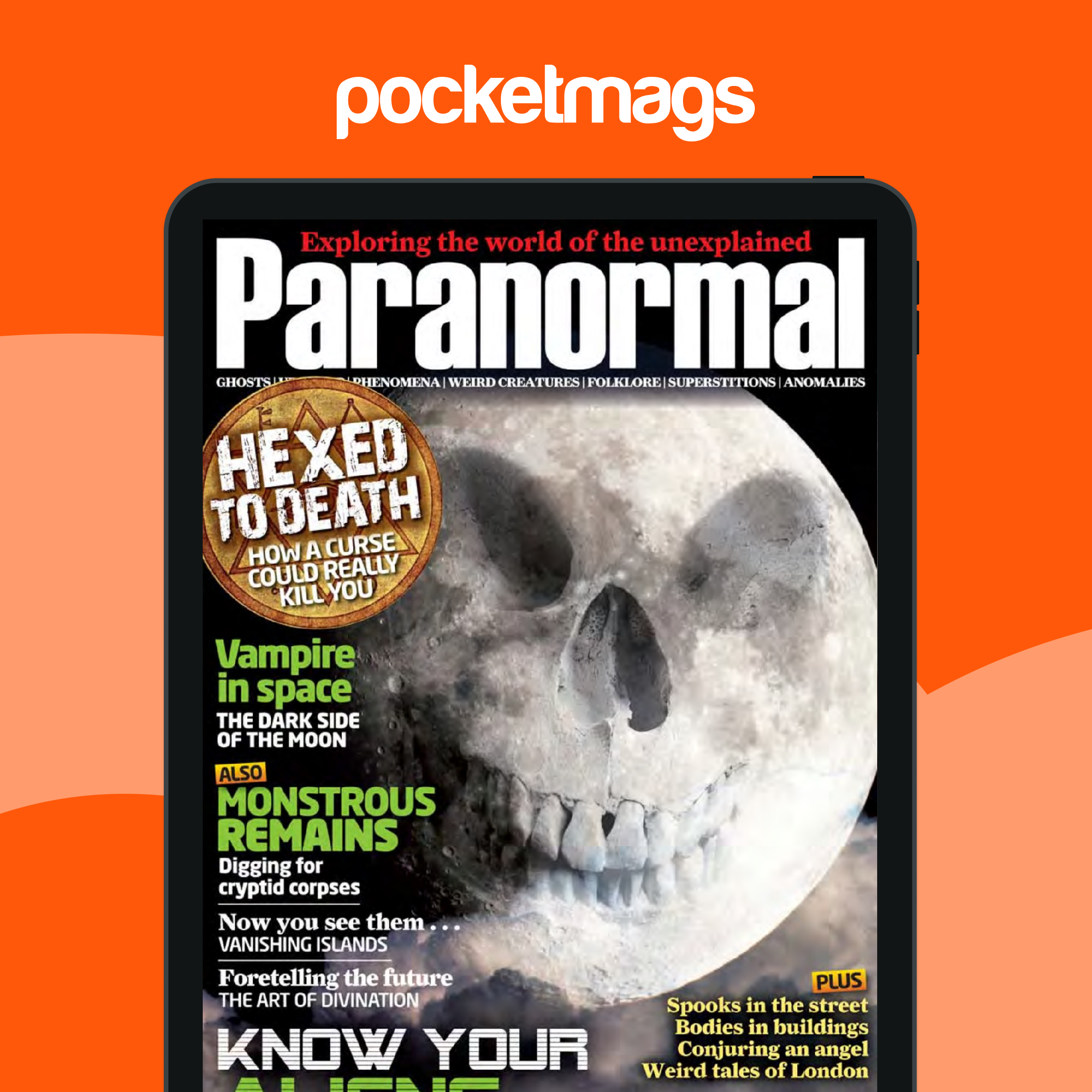 Paranormal Magazine - Issue 53 Edição anterior