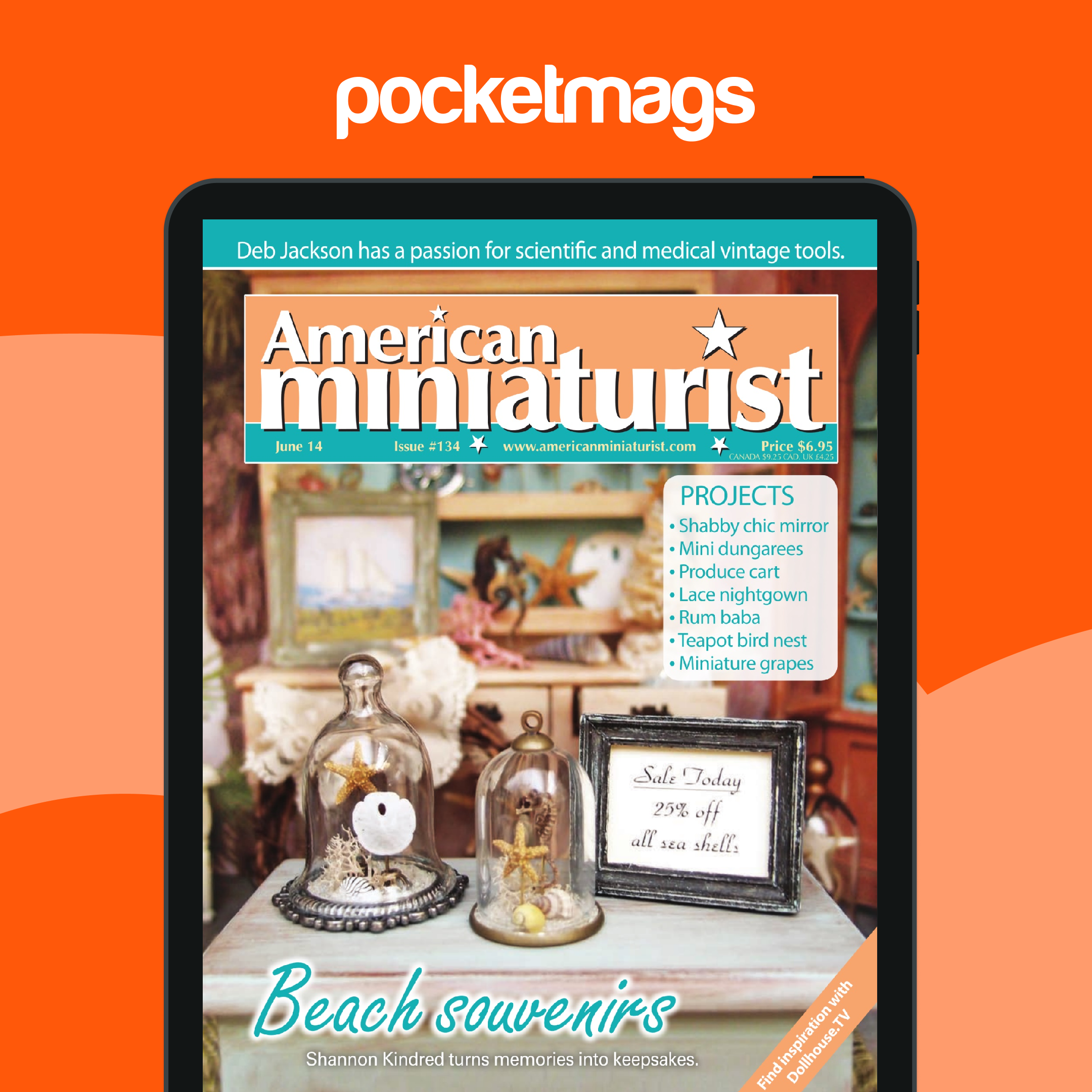American Miniaturist Magazine - Issue 134 Edición anterior