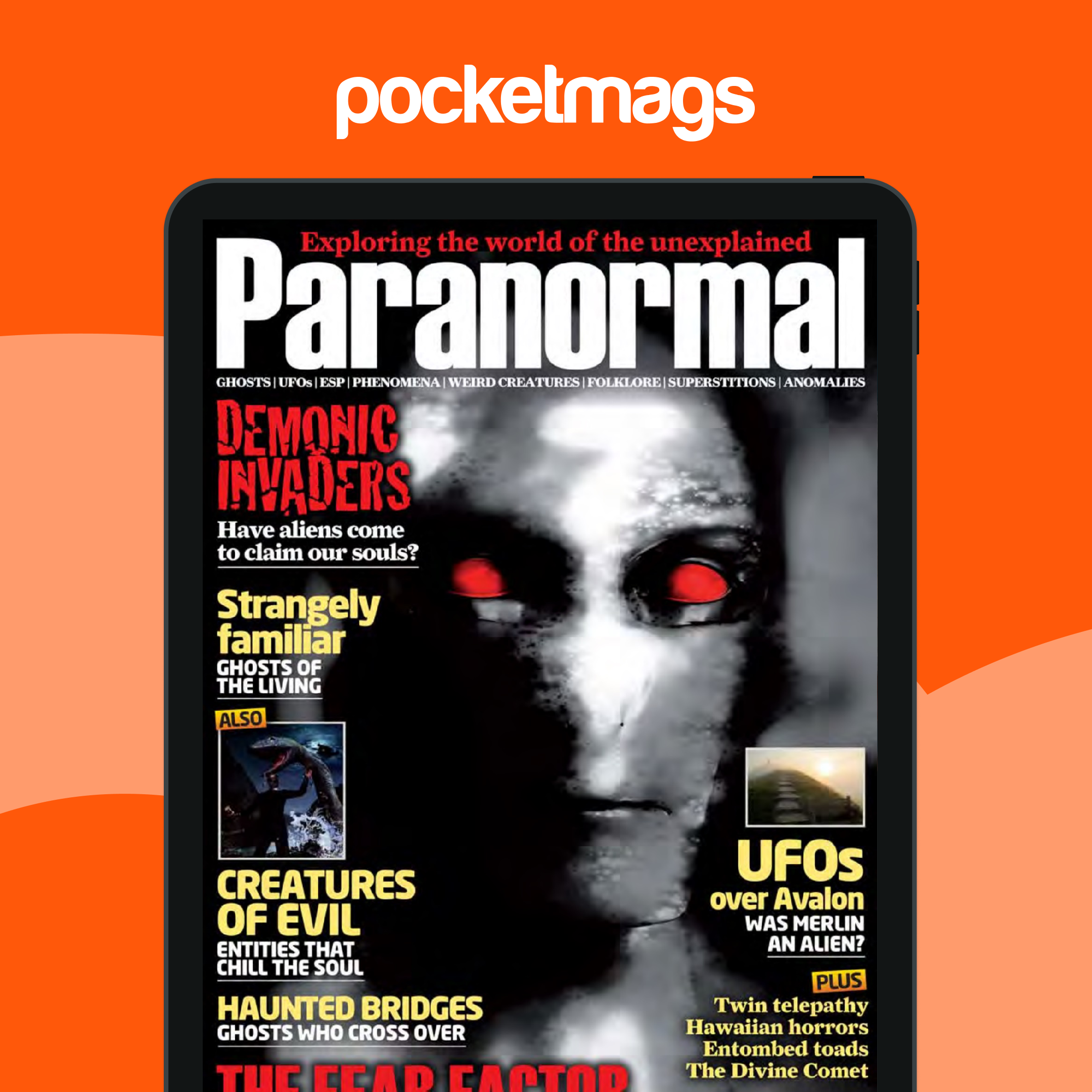 Paranormal Magazine - Issue 54 Edición anterior