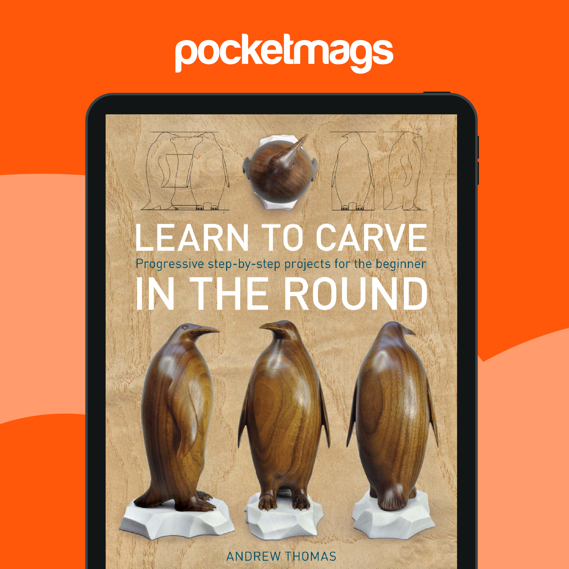 Woodcarving Magazine - Learn to carve in the round Special Issue