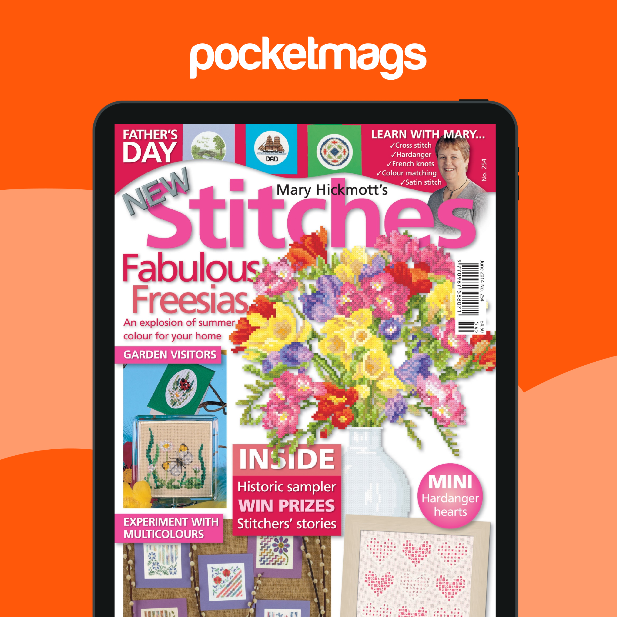 New Stitches Magazine - Issue 254 Back Issue