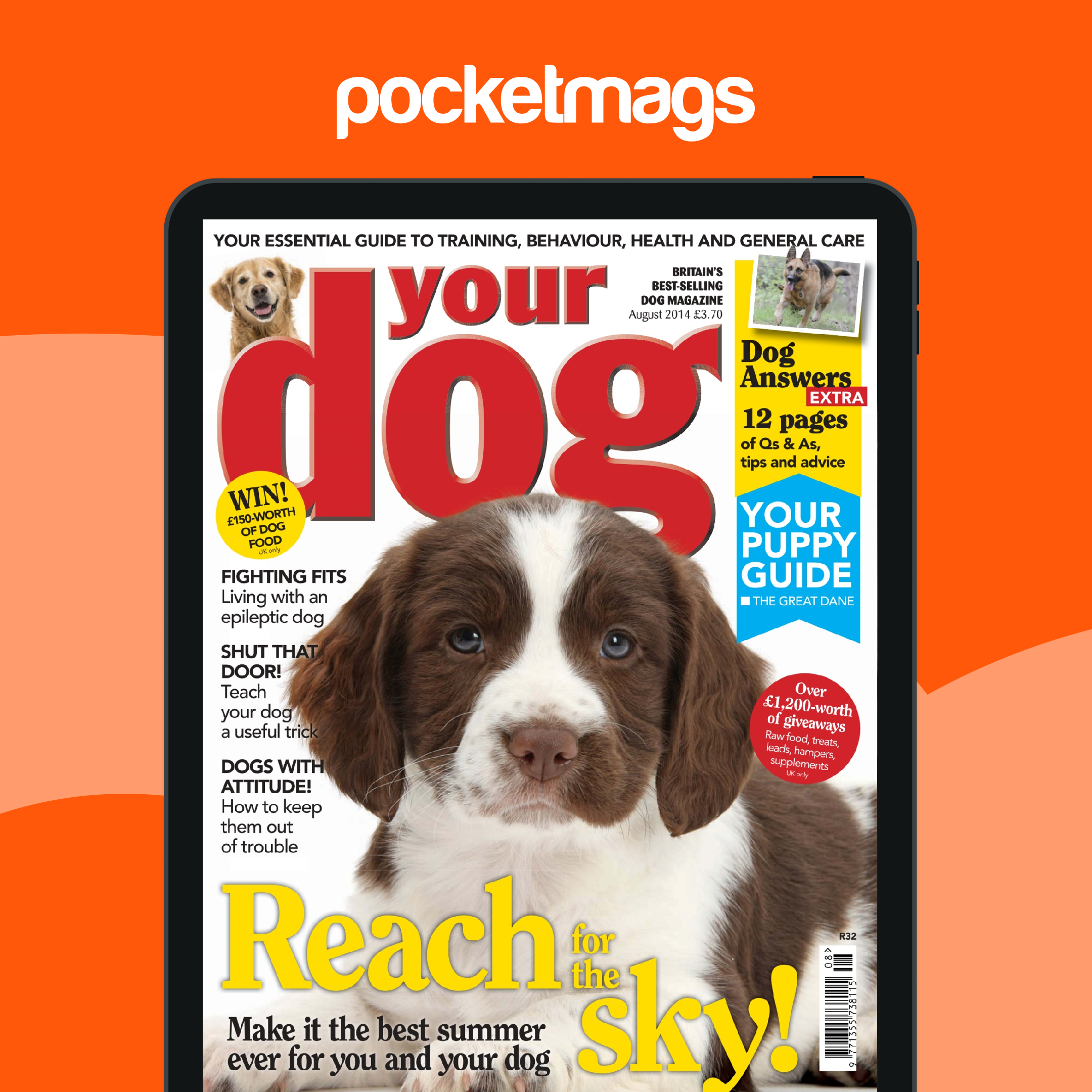 Your Dog Magazine - Your Dog Magazine August 2014 Back Issue