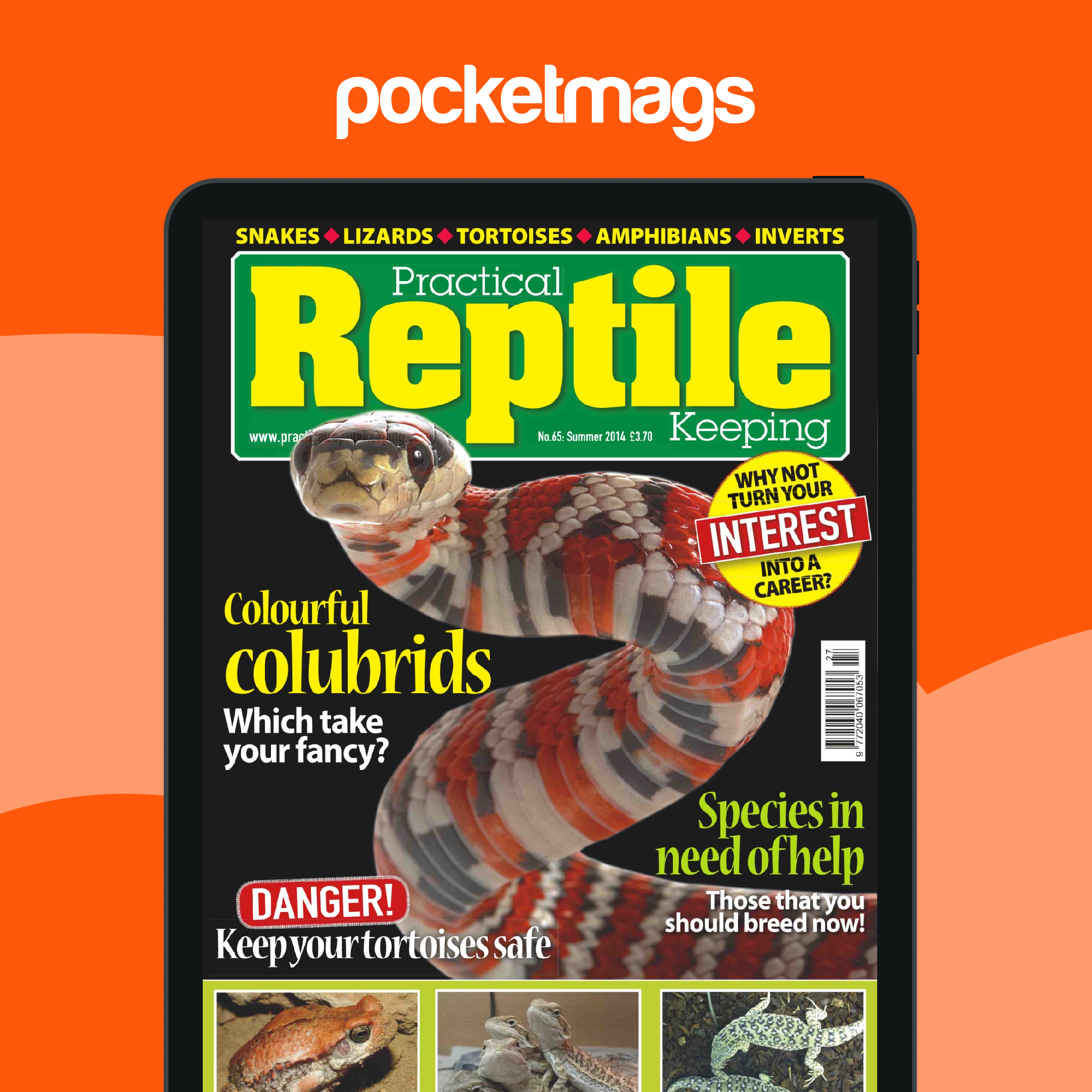 Practical Reptile Keeping Magazine - No.65 Colourful Colubrids Edición ...