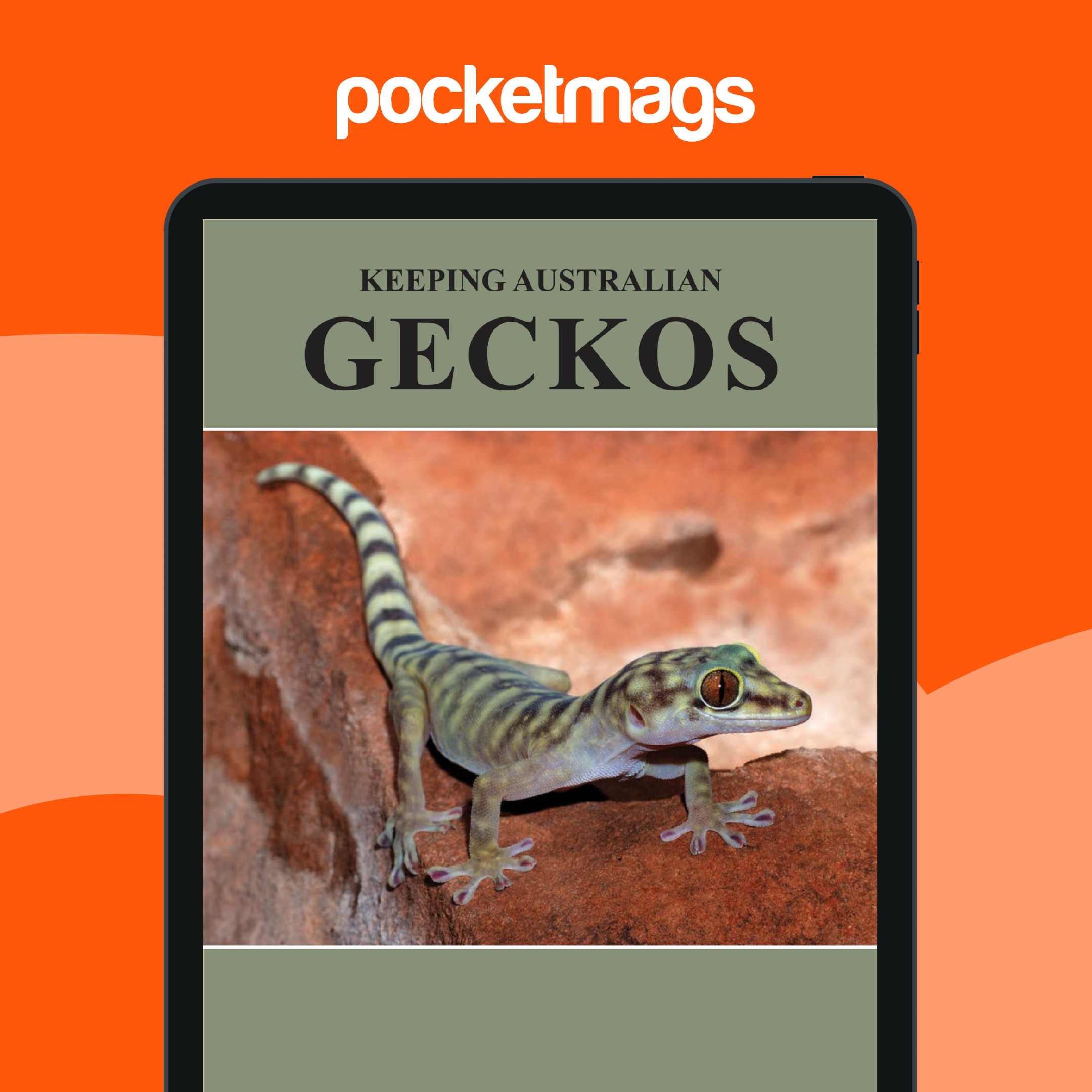 Reptile Publications Magazine - Keeping Australian Geckos Back Issue