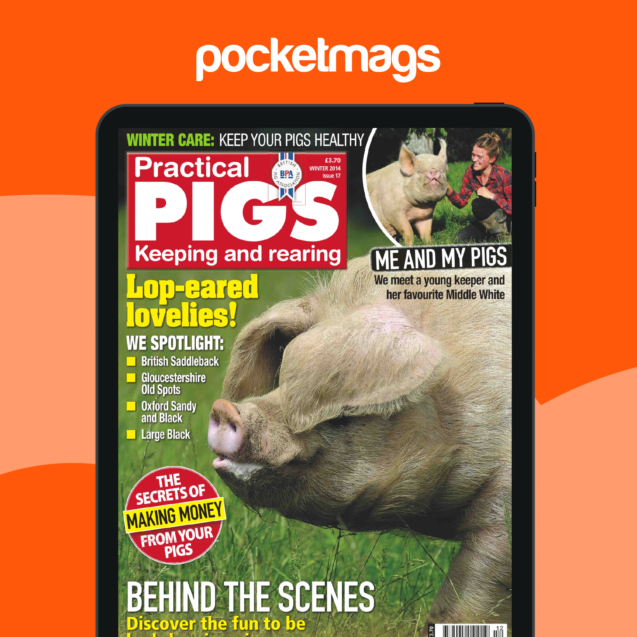 Practical Pigs Magazine - No.17 Lop-eared Lovelies Edición anterior