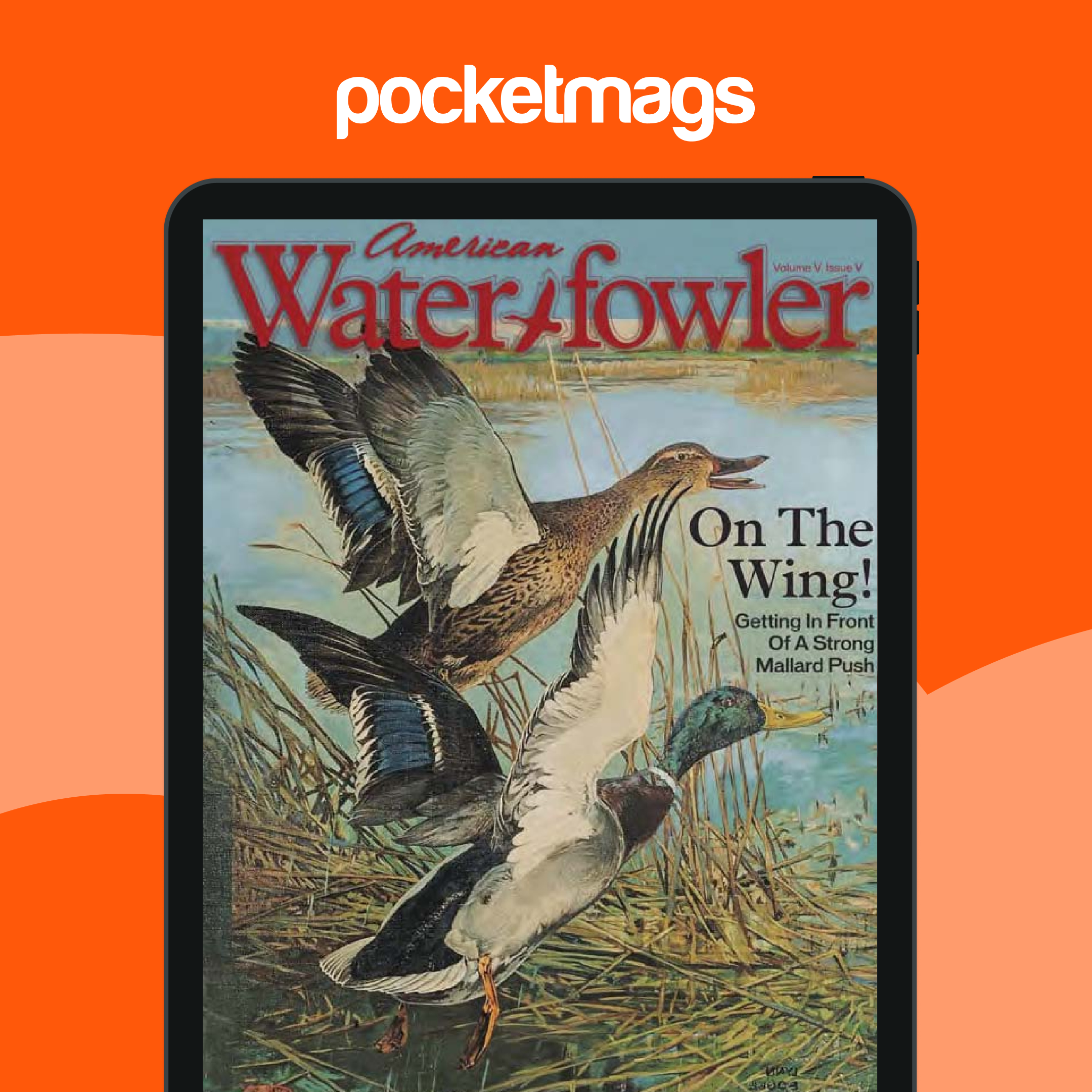 American Waterfowler Magazine - Volume V, Issue V Edición anterior