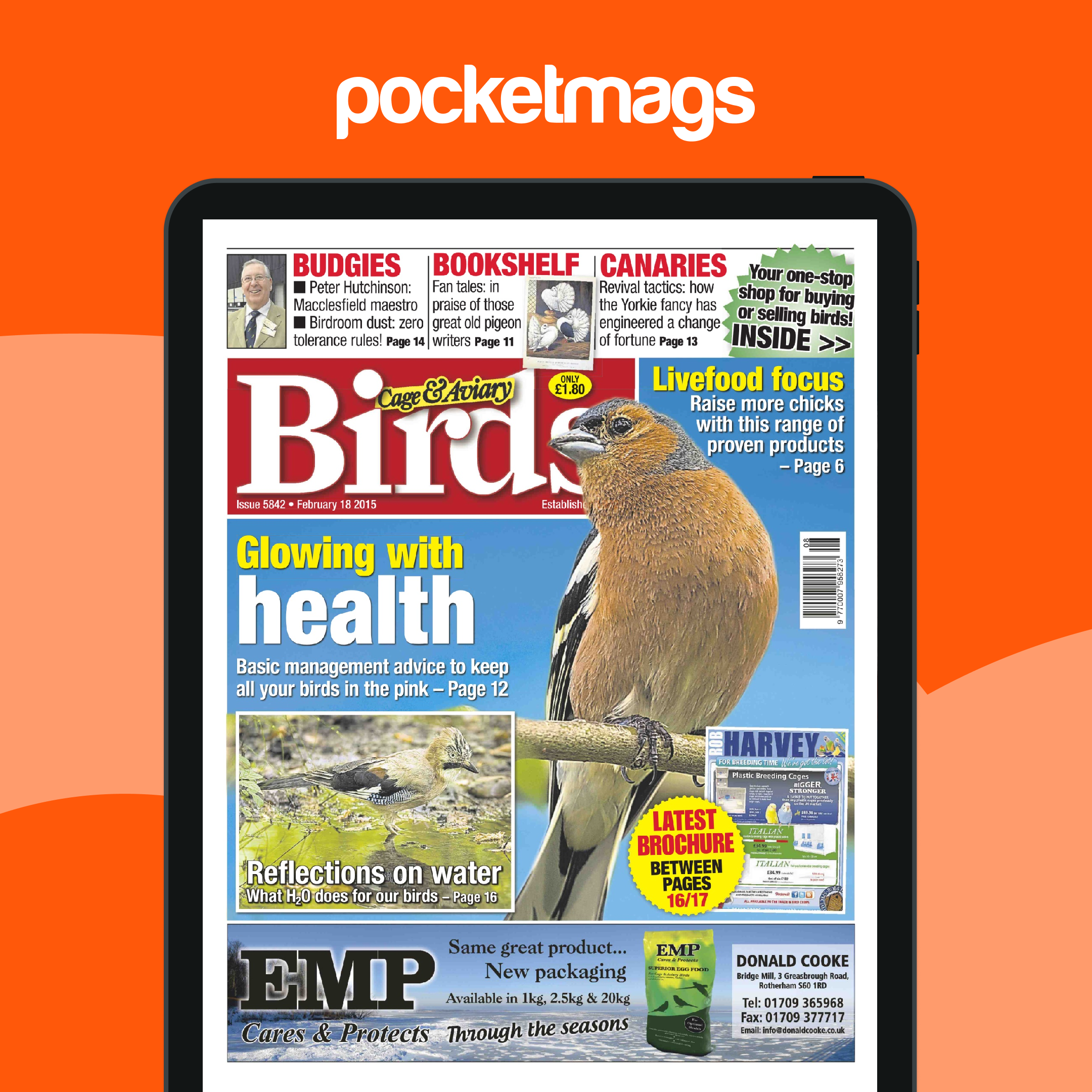 Cage & Aviary Birds Magazine - No.5842 Glowing with Health Edição anterior