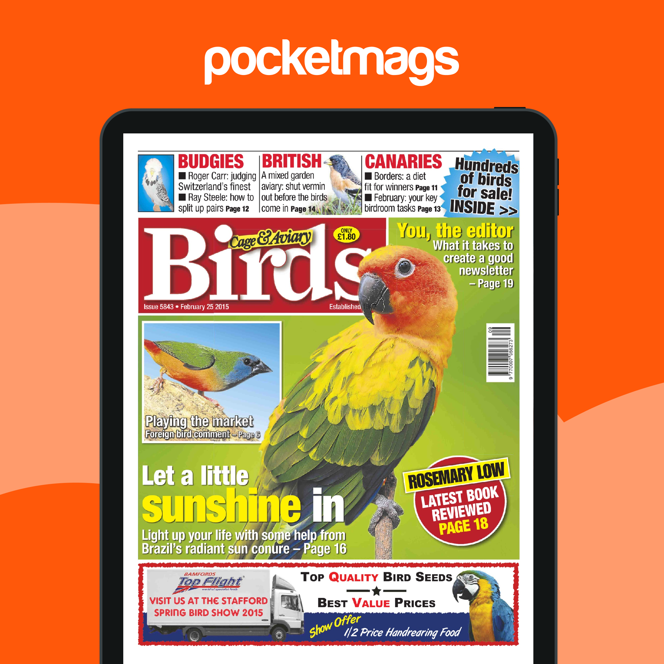 Cage & Aviary Birds Magazine - No.5843 Let a Little Sunshine in Retour ...