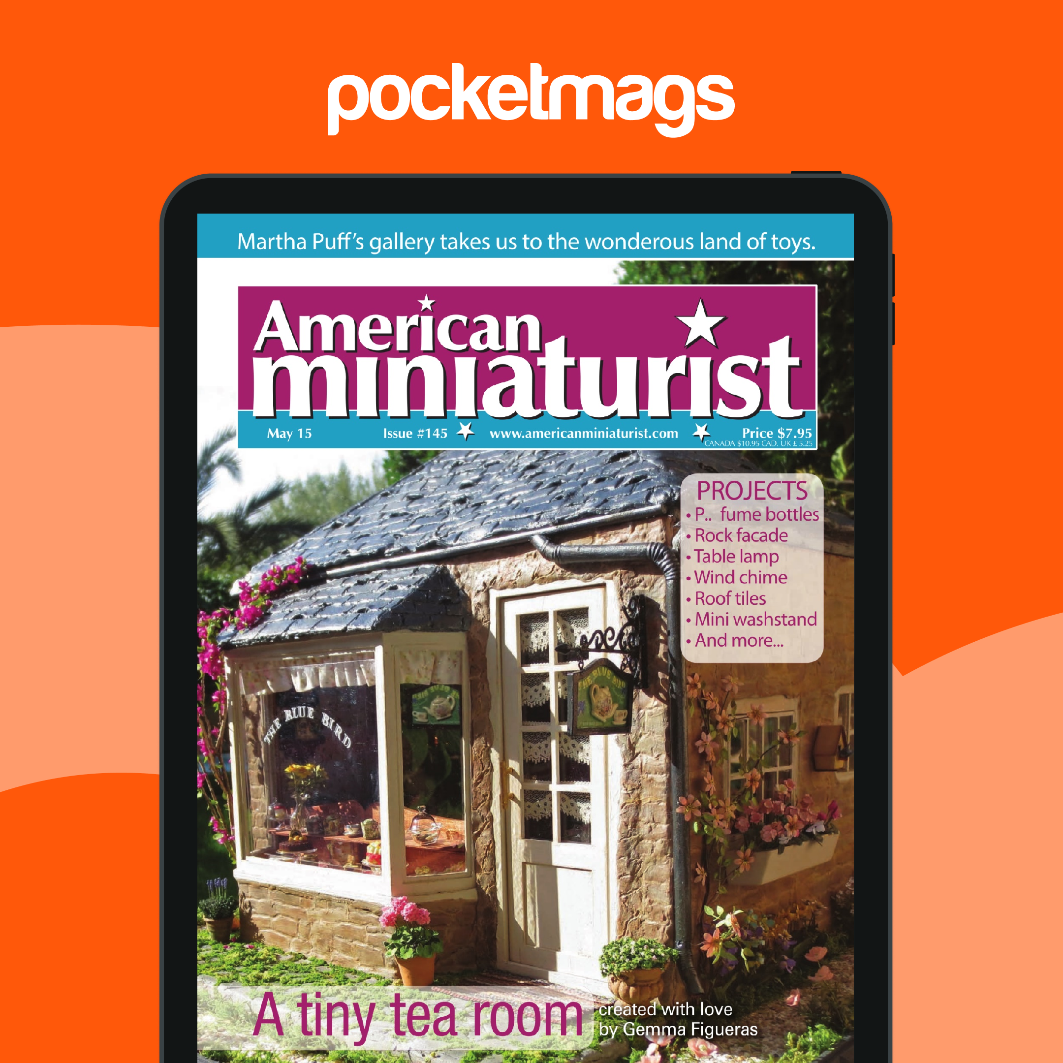 American Miniaturist Magazine - Issue 145 Edición anterior