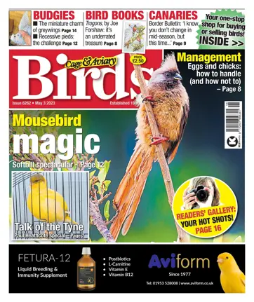 Cage & Aviary Birds Magazine - 3-May-23 Back Issue