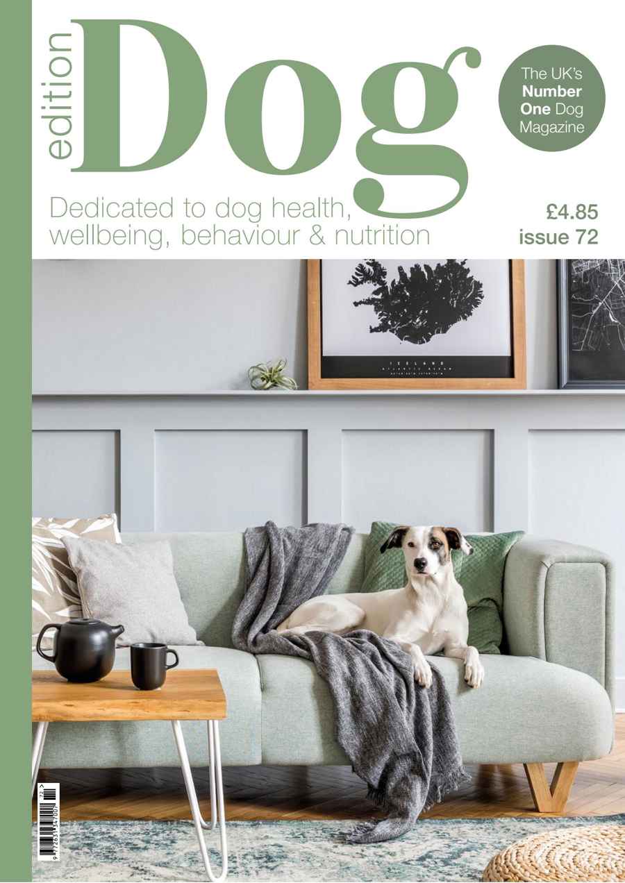 Buy EDITION DOG from Magazine Supermarket